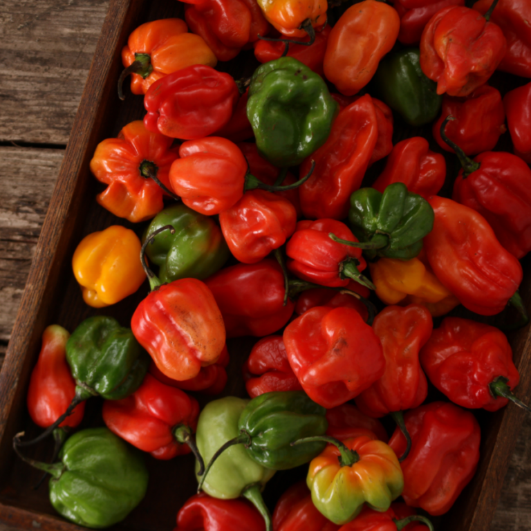 The Fiery Flavor of Scotch Bonnet: A Hot Pepper Guide - Daily Caller